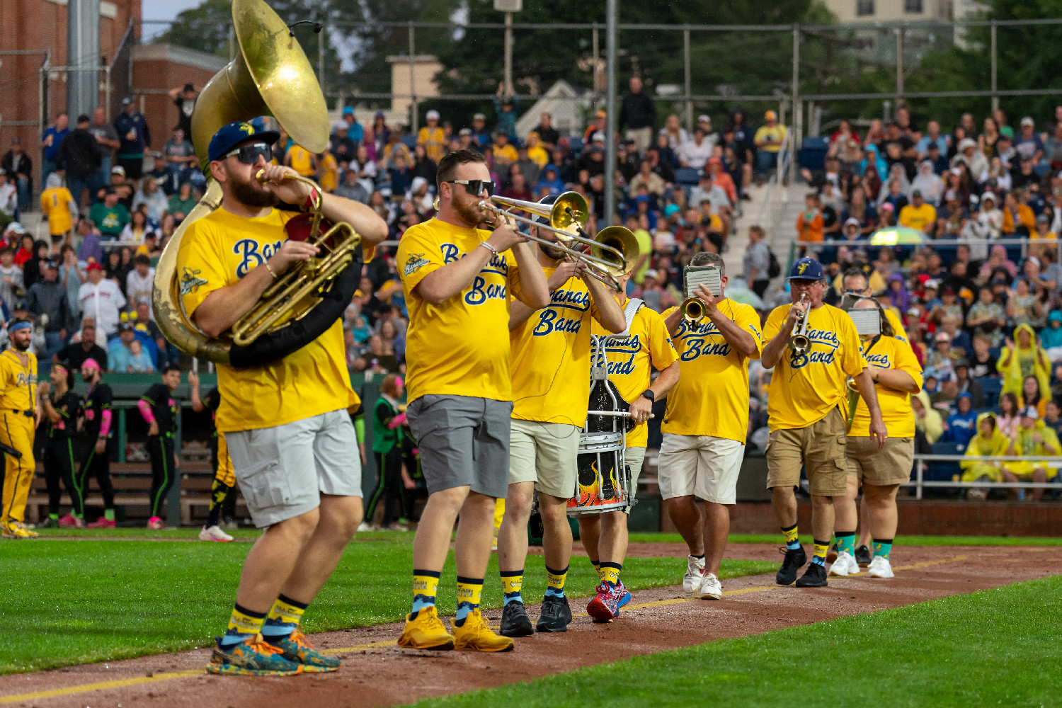 The Banana Pep Band - Bananaland at Sea