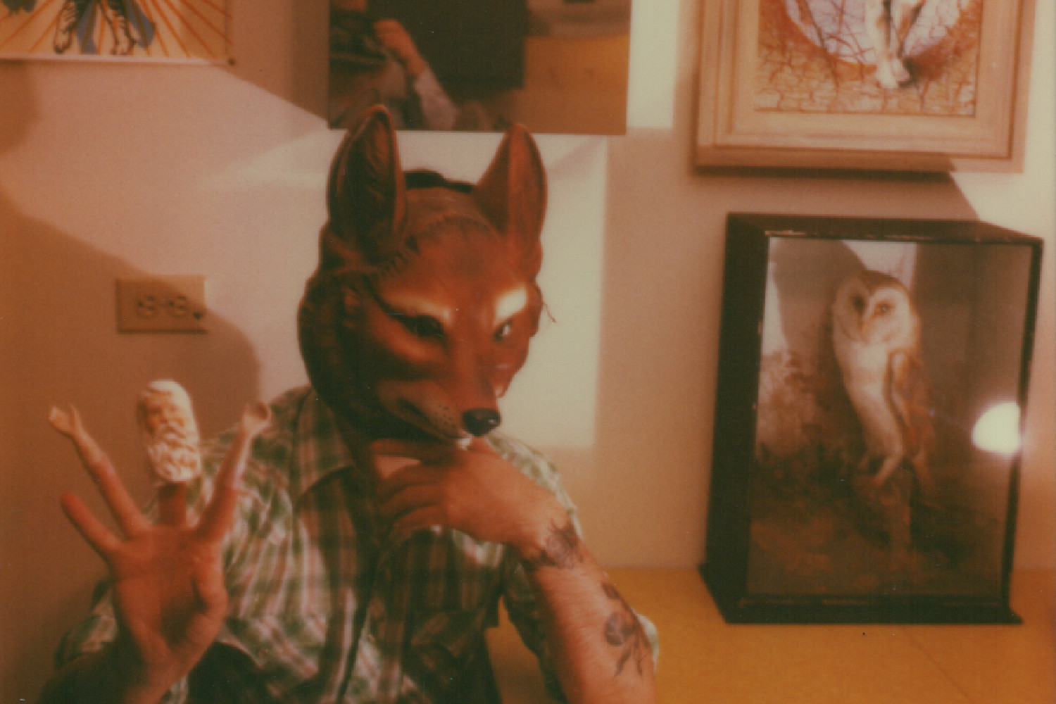 Ugly Casanova - Modest Mouse Cruise